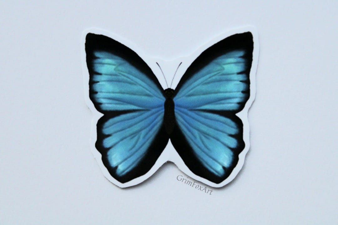 Life is Strange Game Blue Butterfly Gloss Sticker - Etsy