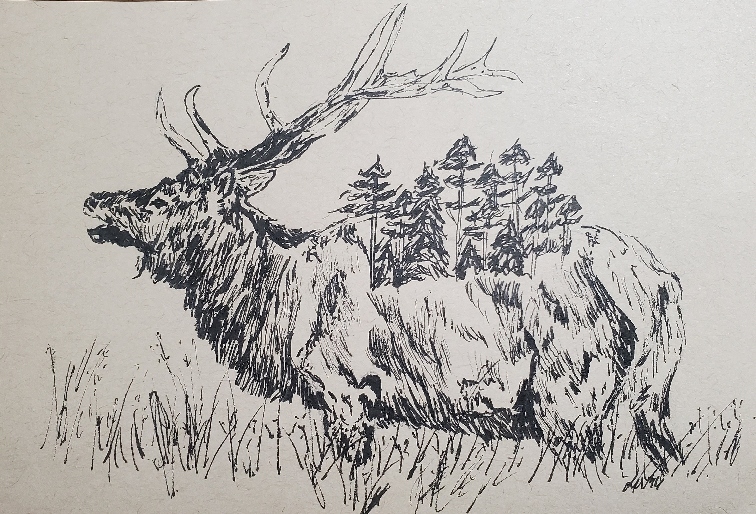 Elk and Landscape Pen and Ink Illustration - Etsy