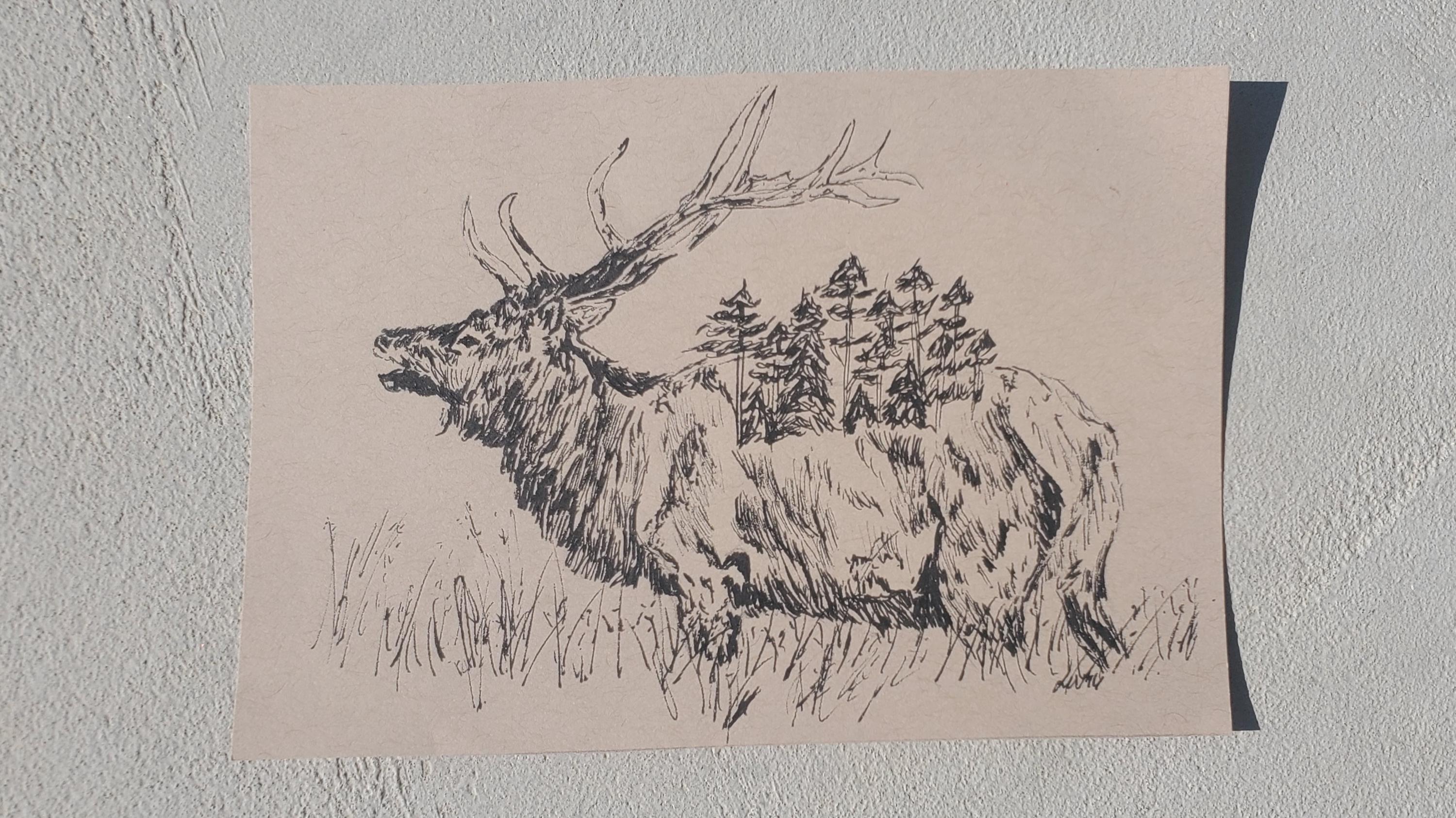 Elk and Landscape Pen and Ink Illustration - Etsy