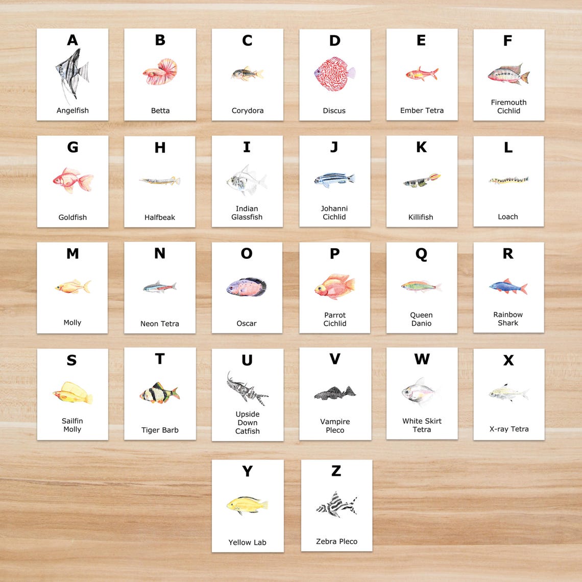 Freshwater Fish A–Z Alphabet Printable Flashcards | Digital Download - Etsy