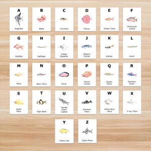Freshwater Fish A–Z Alphabet Printable Flashcards | Digital Download - Etsy