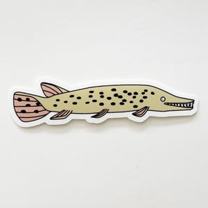 ArtfulAquarist - Etsy