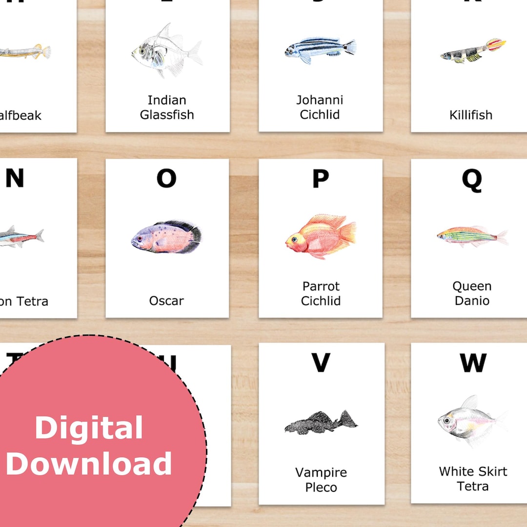 Freshwater Fish A–Z Alphabet Printable Flashcards | Digital Download - Etsy