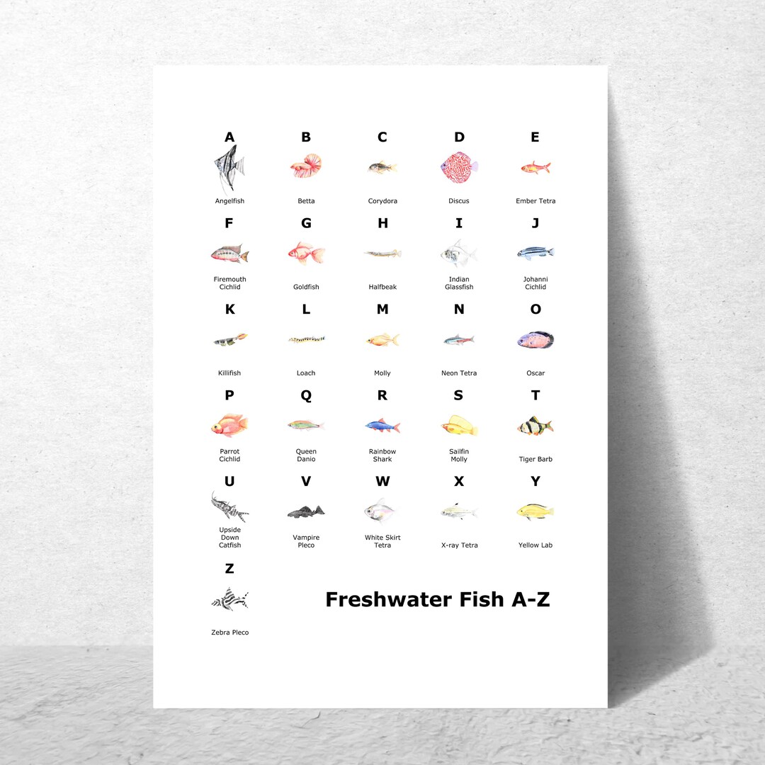 Illustrated Freshwater Fish A-Z Alphabet Poster - Educational Wall Art ...