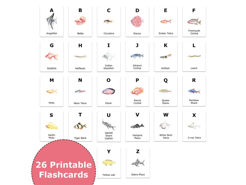 Freshwater Fish A–Z Alphabet Printable Flashcards | Digital Download - Etsy