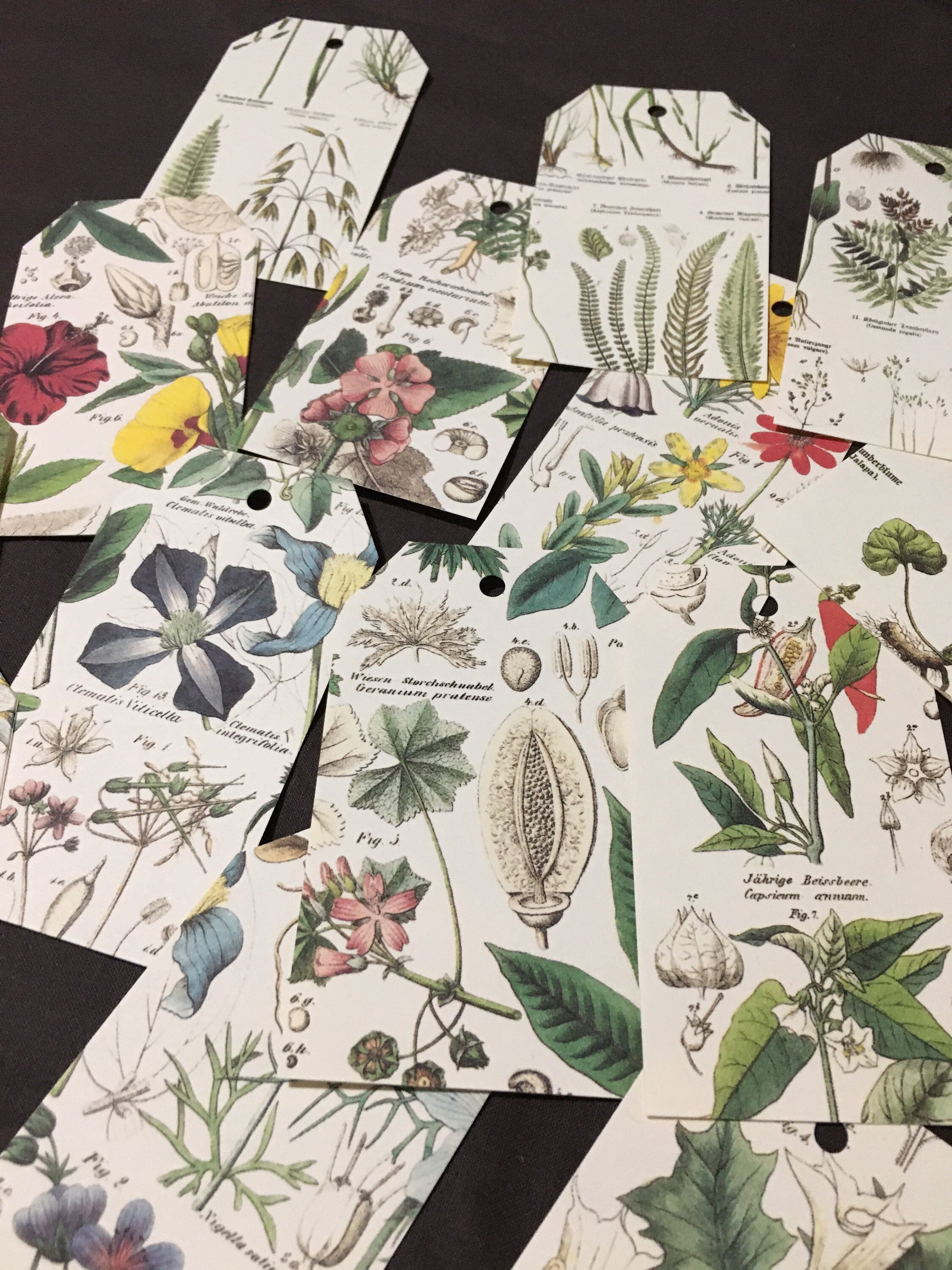 Botanical Print Tags - 2” X 3-1/2”. Set of 10 or 25 - Etsy