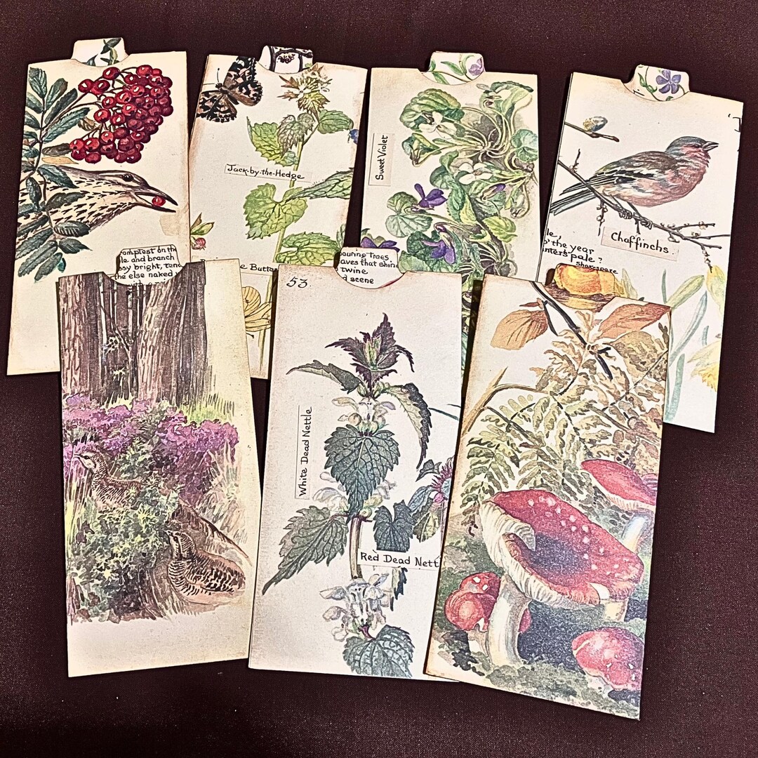 4 Edith Holden Slim Pockets With Journal Cards - Etsy