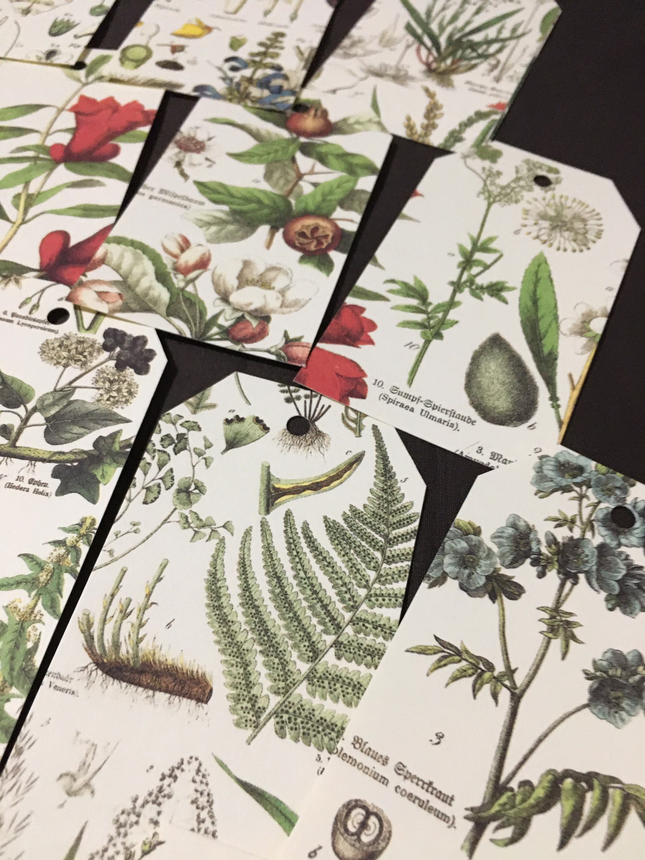 Botanical Print Tags 2 X 3-1/2. Set of 10 or 25 - Etsy