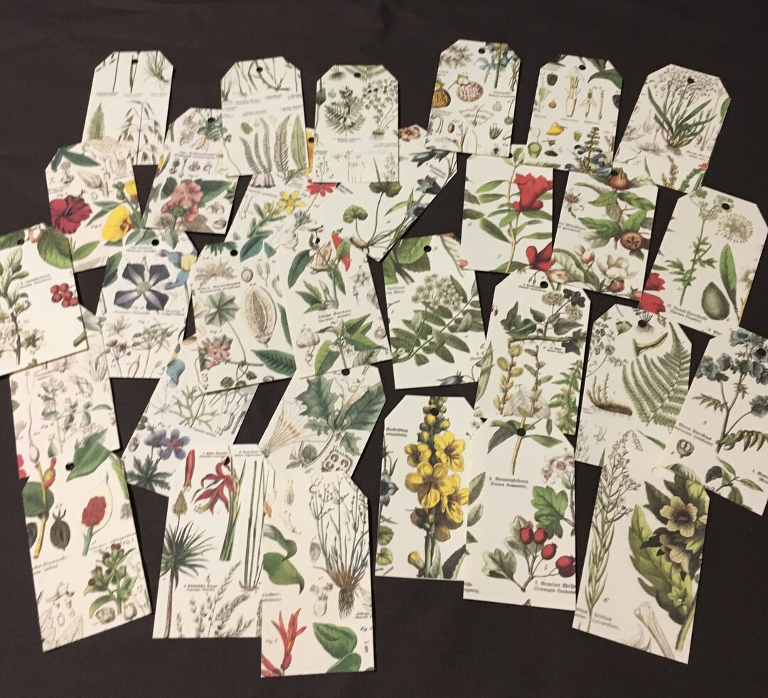 Botanical Print Tags - 2” X 3-1/2”. Set of 10 or 25 - Etsy