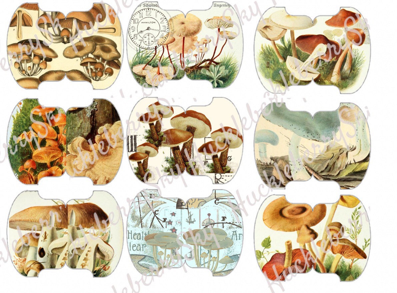 25 Vintage Mushroom Image Round Tab Whale Tail Tabs - Etsy
