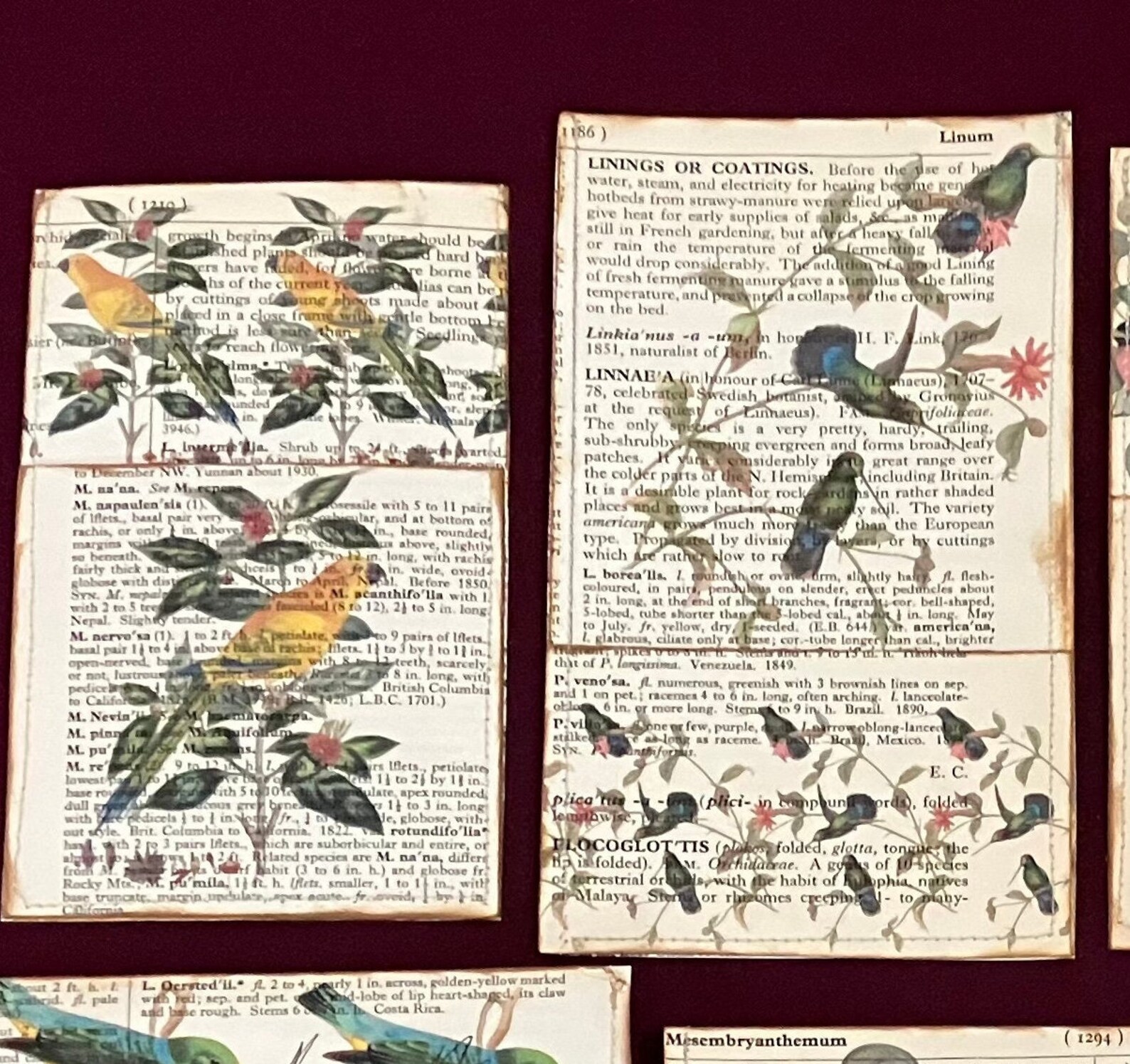 8 Book Page Pockets With Printed Bird Images - Neutral Thread Stitched ...