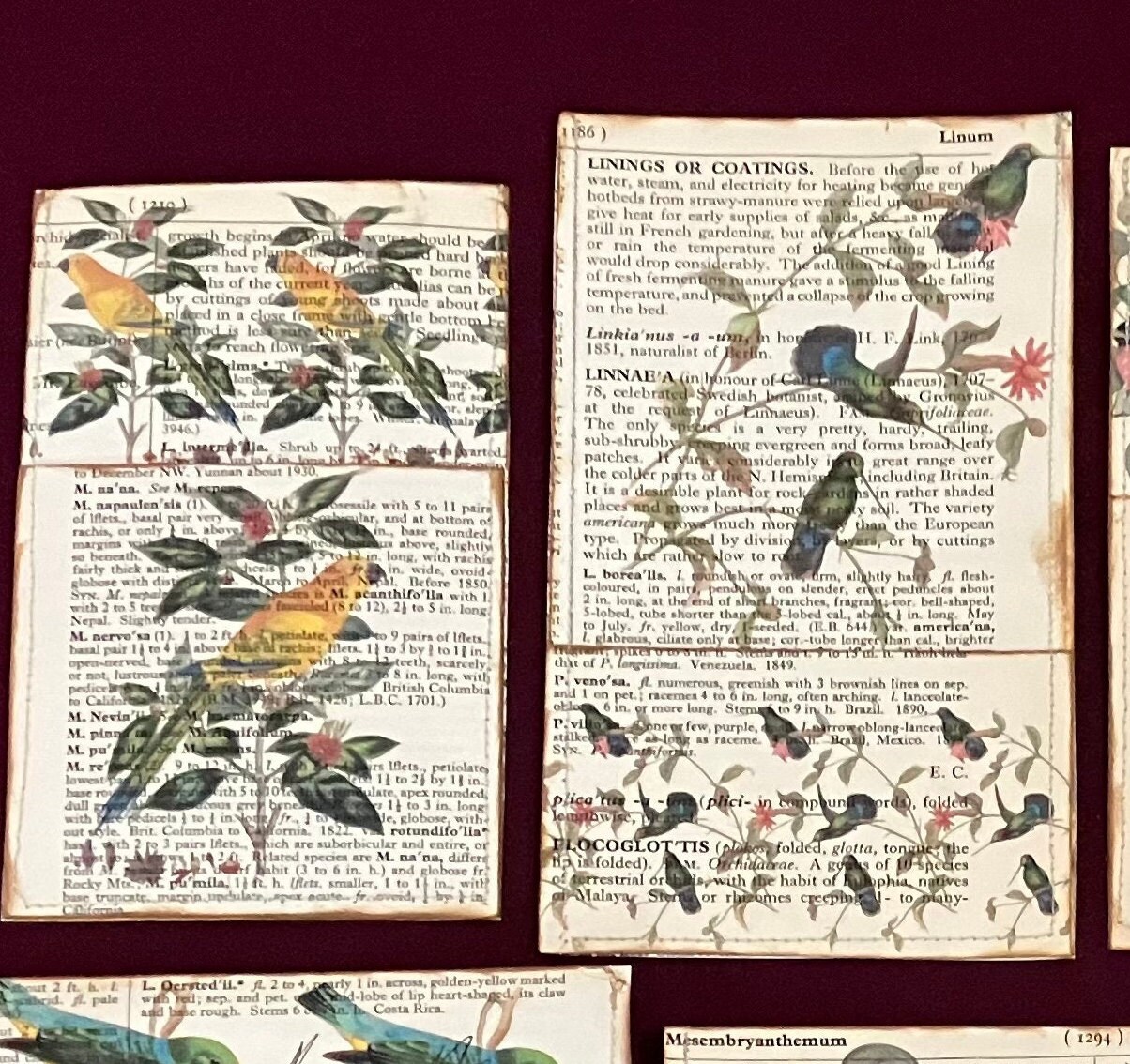 8 Book Page Pockets With Printed Bird Images - Neutral Thread Stitched ...