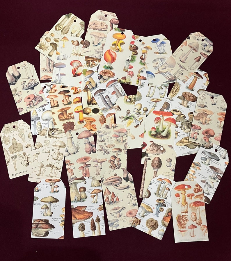 Mushroom Print Tags - 2” X 3-1/2”. Set of 10 or 25 - Etsy