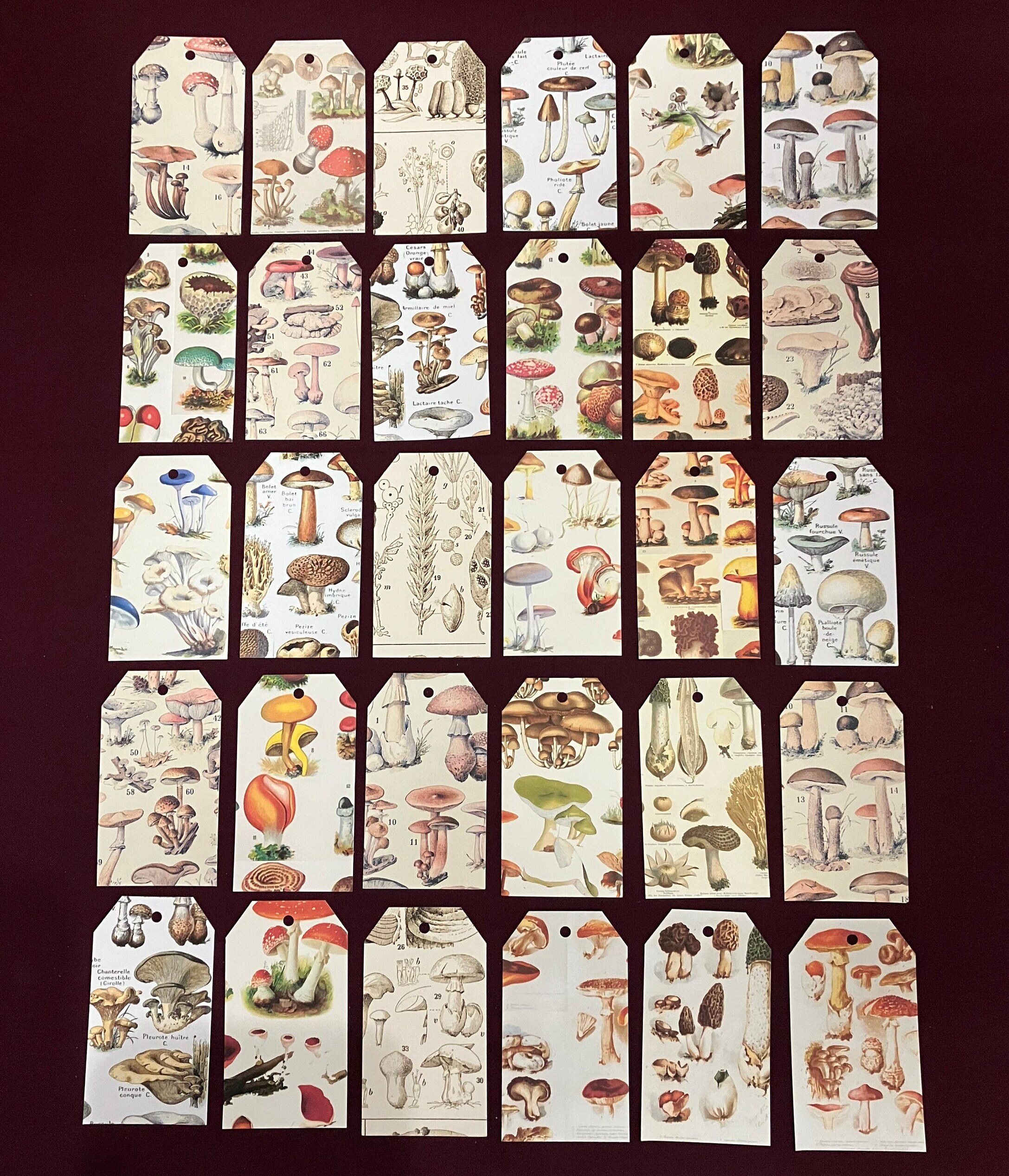 Mushroom Print Tags - 2” X 3-1/2”. Set of 10 or 25 - Etsy