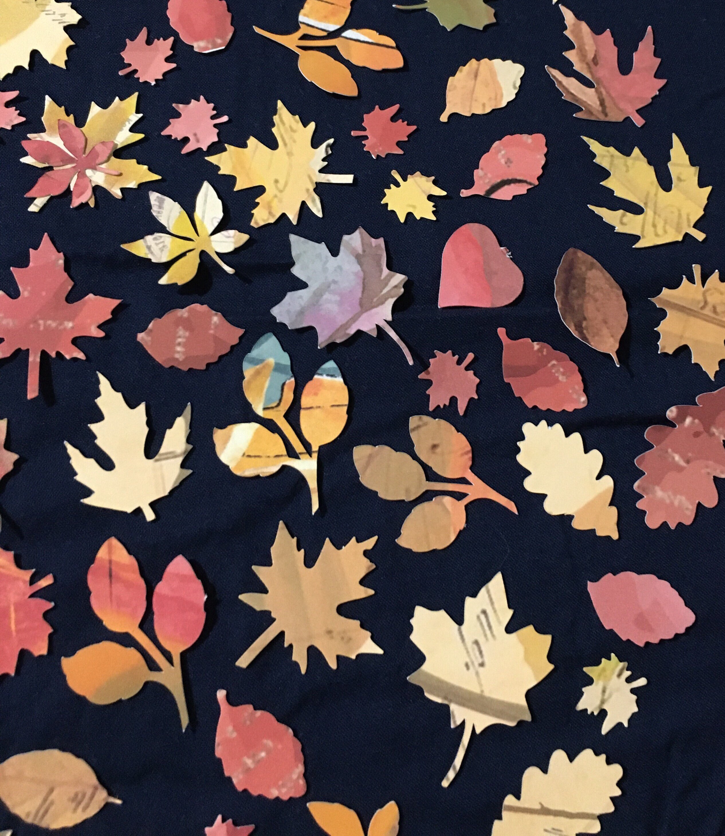 25 or 50 Fall Leaf Cutouts. Autumn Leaves Small Leaf Cutouts. - Etsy