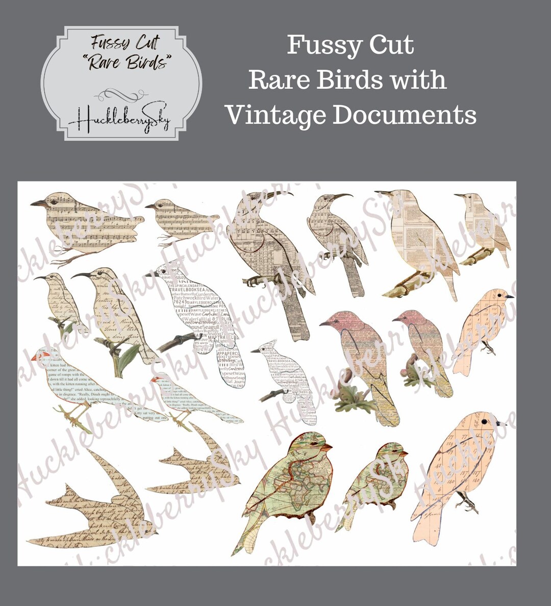 Rare Birds Fussy Cut Birds With Vintage Documents - Etsy