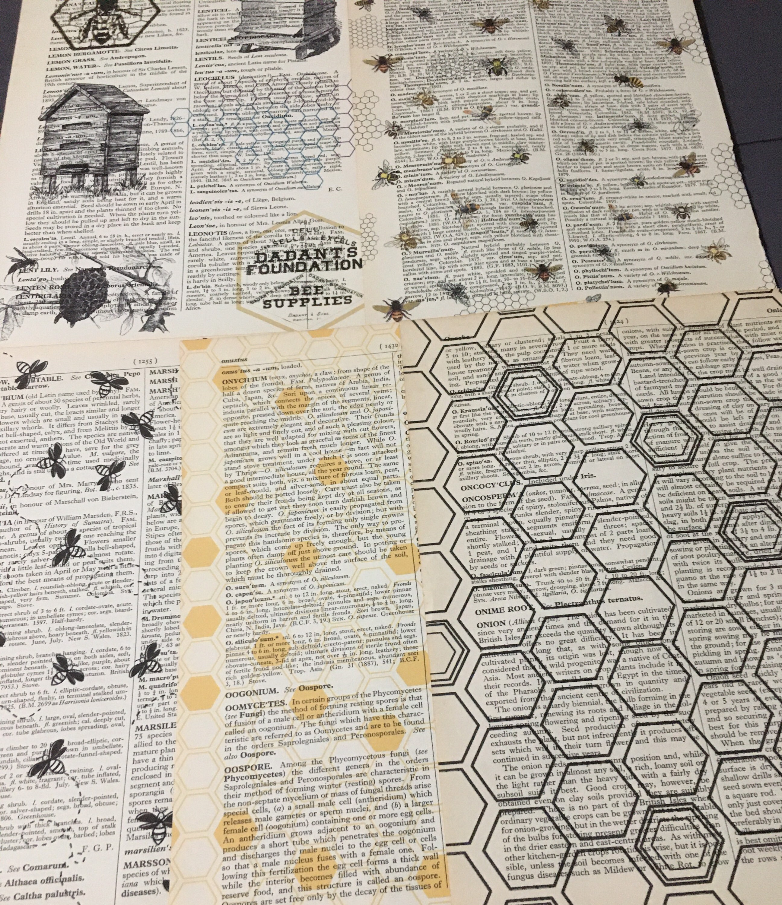 Vintage Bee Ephemera Bundle Bee Ephemera Kit - Etsy