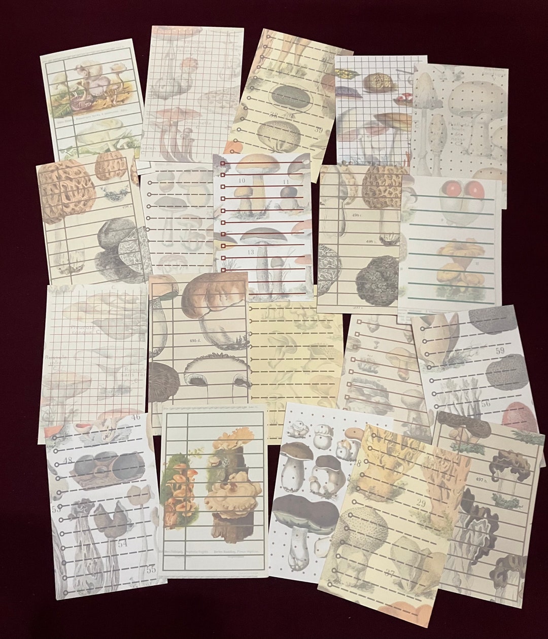 Mushroom Journal Note Cards, Mushroom Ephemera, Note Paper - Etsy