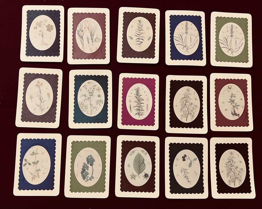 Small Botanical Layered Stamp Cards - A Botanist’s Dream - Etsy