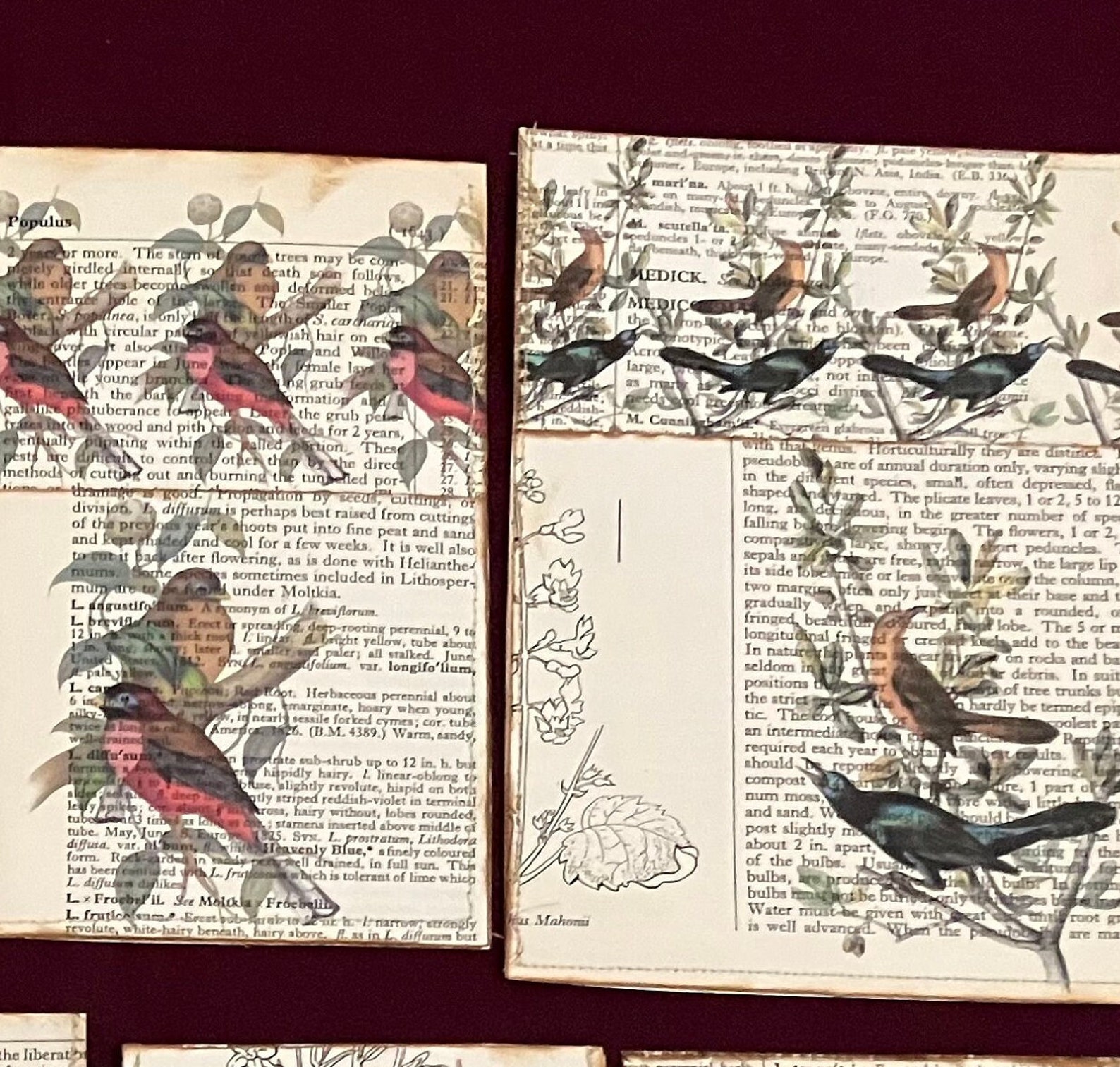 8 Book Page Pockets With Printed Bird Images - Neutral Thread Stitched ...