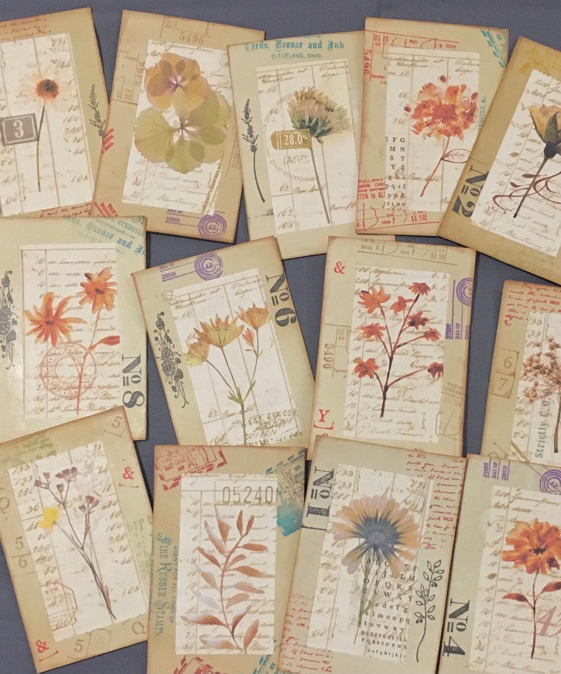 Botanical Specimen Journaling Cards, Layered Botanical Specimen Cards ...