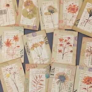 Botanical Specimen Journaling Cards, Layered Botanical Specimen Cards ...