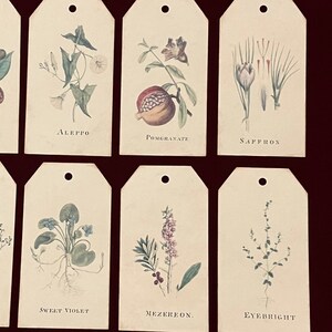 Botanical Journal Tags - A Botanist’s Dream. Gift Tags. - Etsy