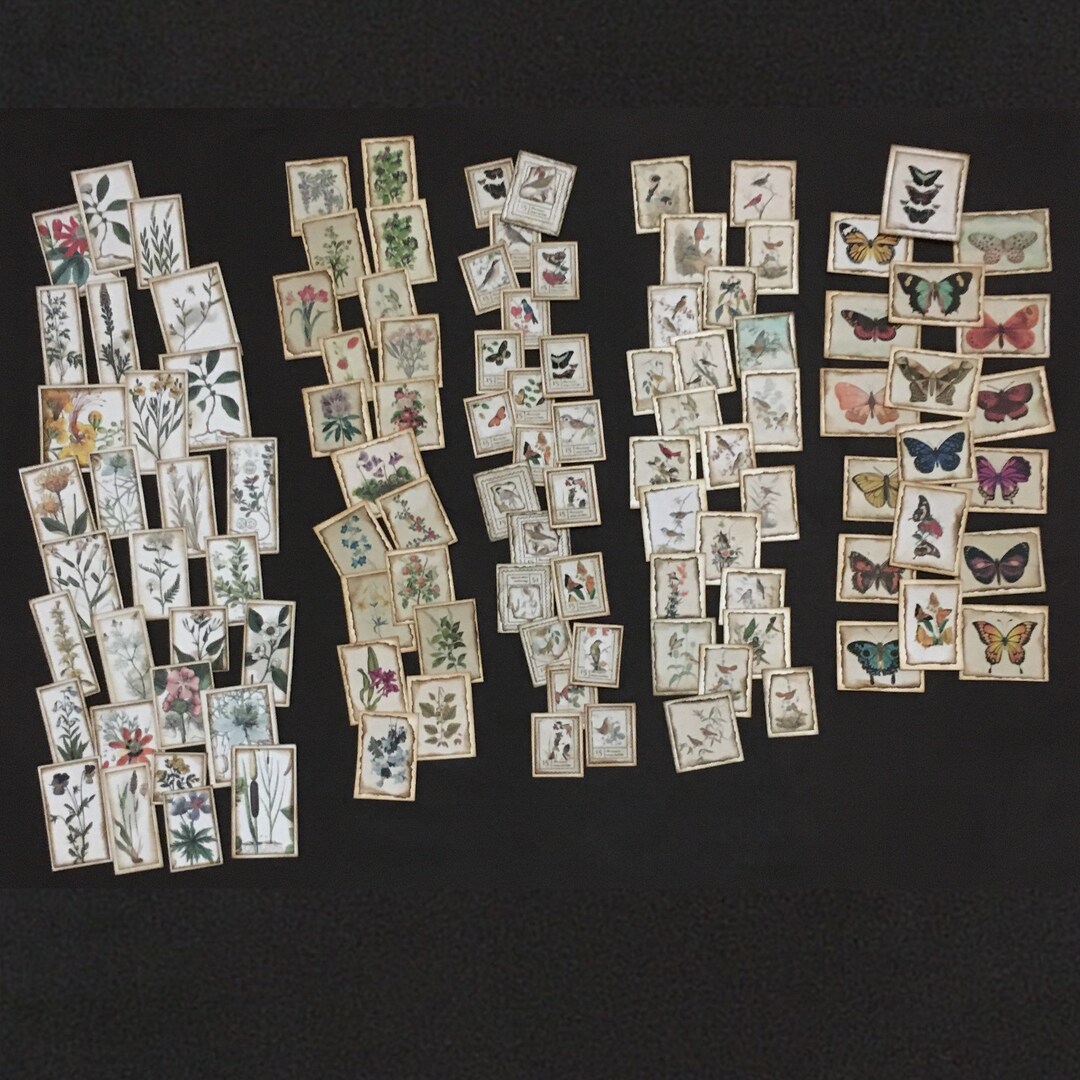 15 Nature Ephemera Stamp Size Bits or chips for Use in Handmade or Junk ...
