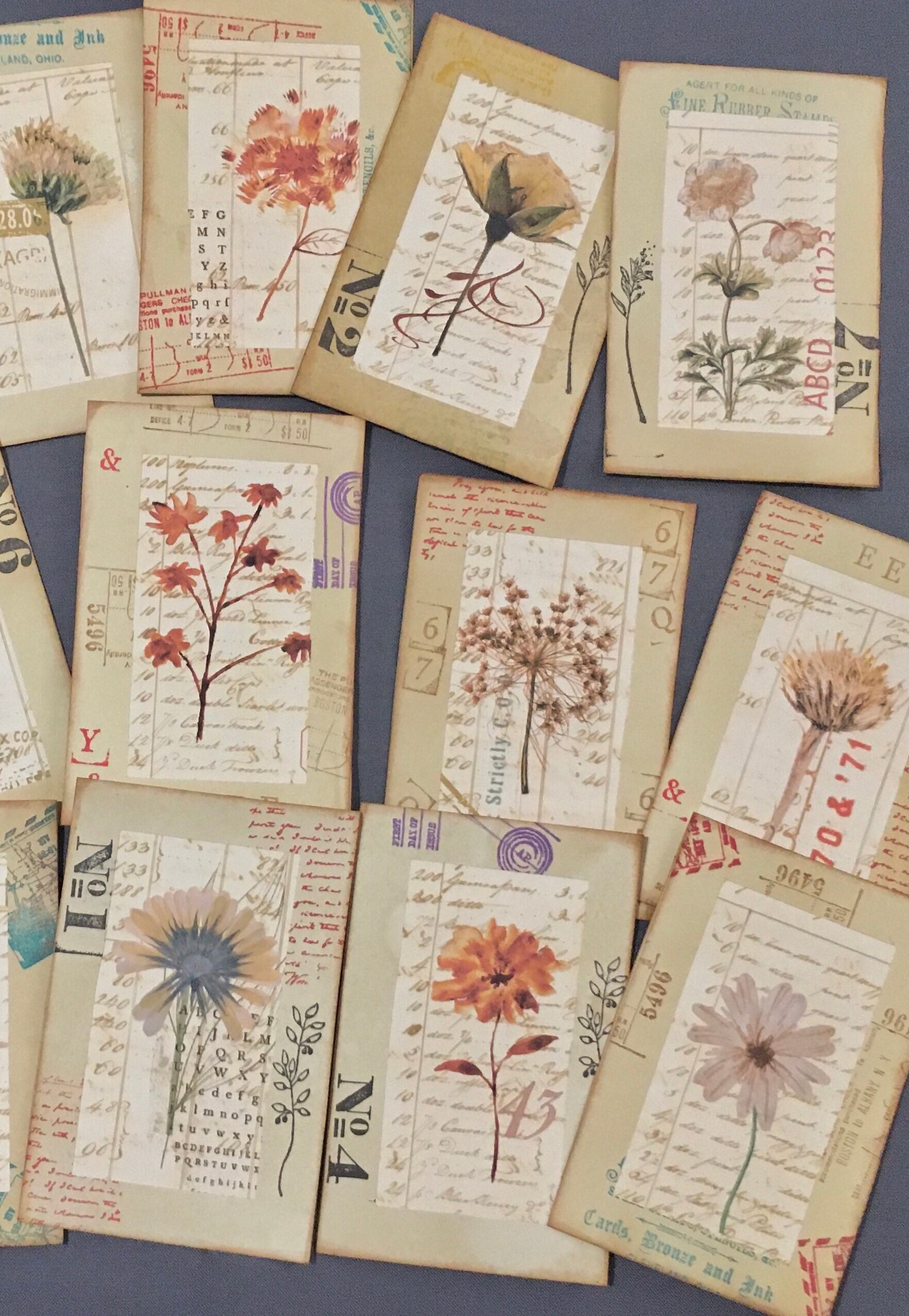 Botanical Specimen Journaling Cards, Layered Botanical Specimen Cards ...