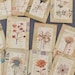 Botanical Specimen Journaling Cards, Layered Botanical Specimen Cards ...