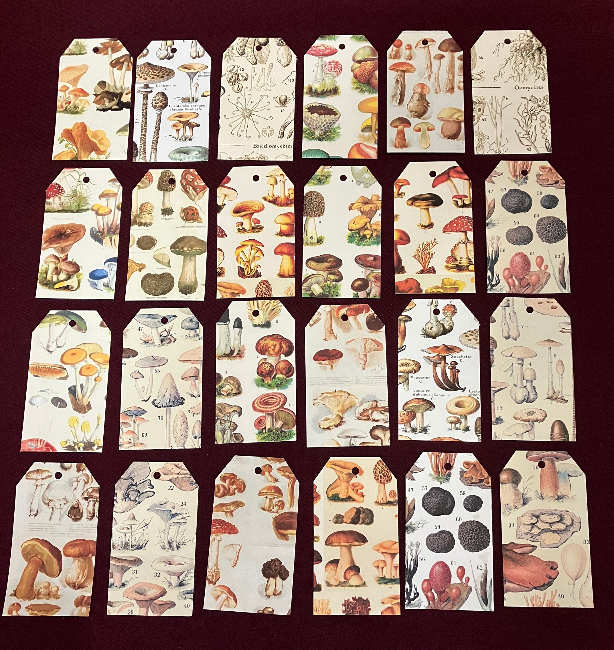 Mushroom Print Tags - 2” X 3-1/2”. Set of 10 or 25 - Etsy