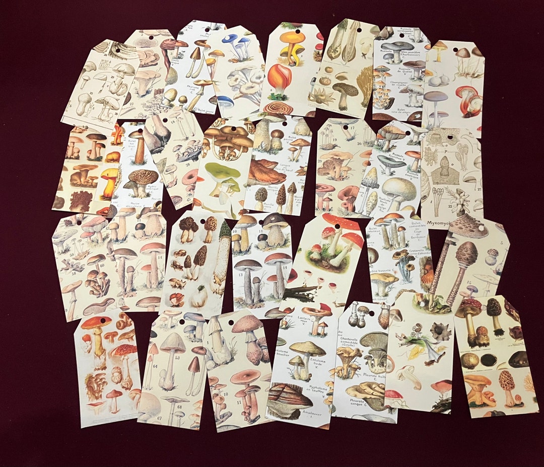 Mushroom Print Tags - 2” X 3-1/2”. Set of 10 or 25 - Etsy
