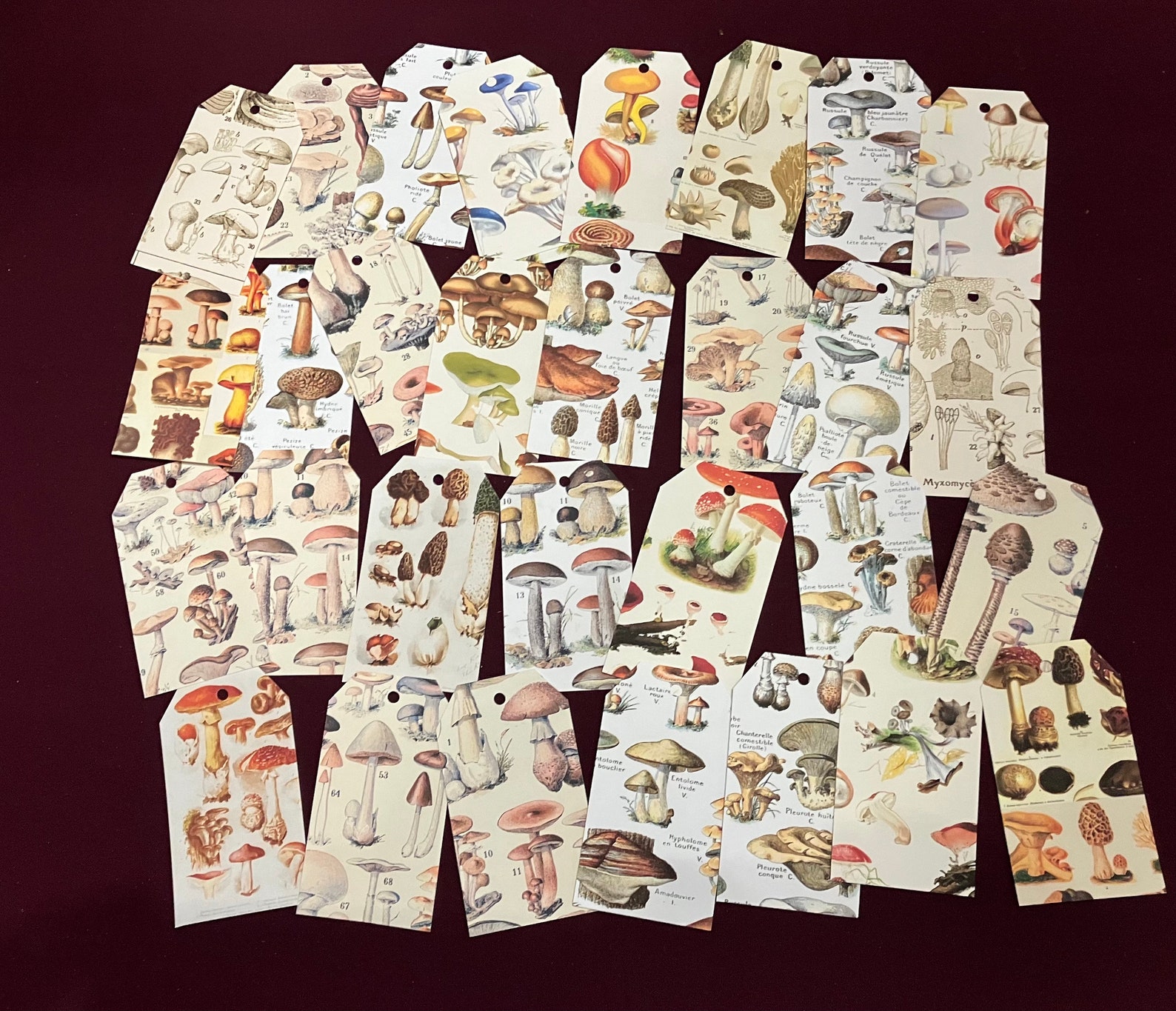 Mushroom Print Tags - 2” X 3-1/2”. Set of 10 or 25 - Etsy