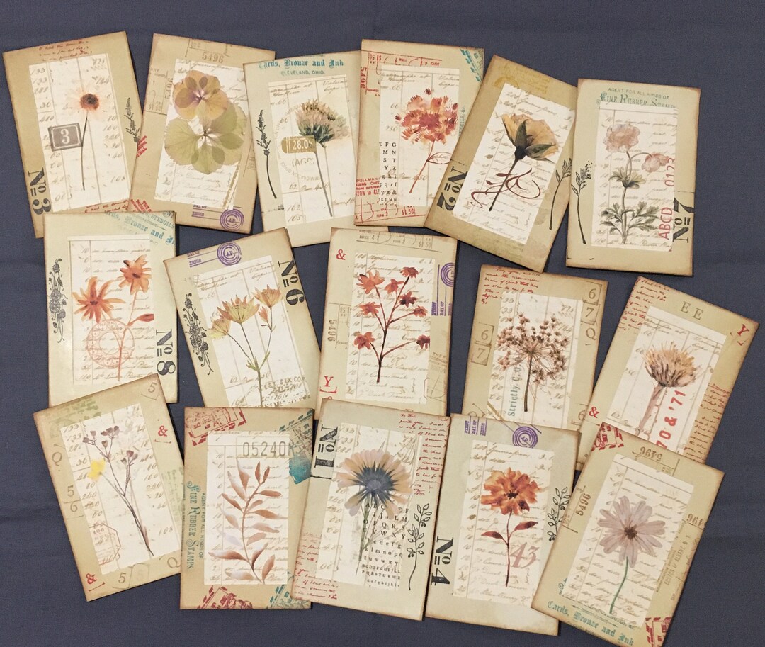 Botanical Specimen Journaling Cards, Layered Botanical Specimen Cards ...