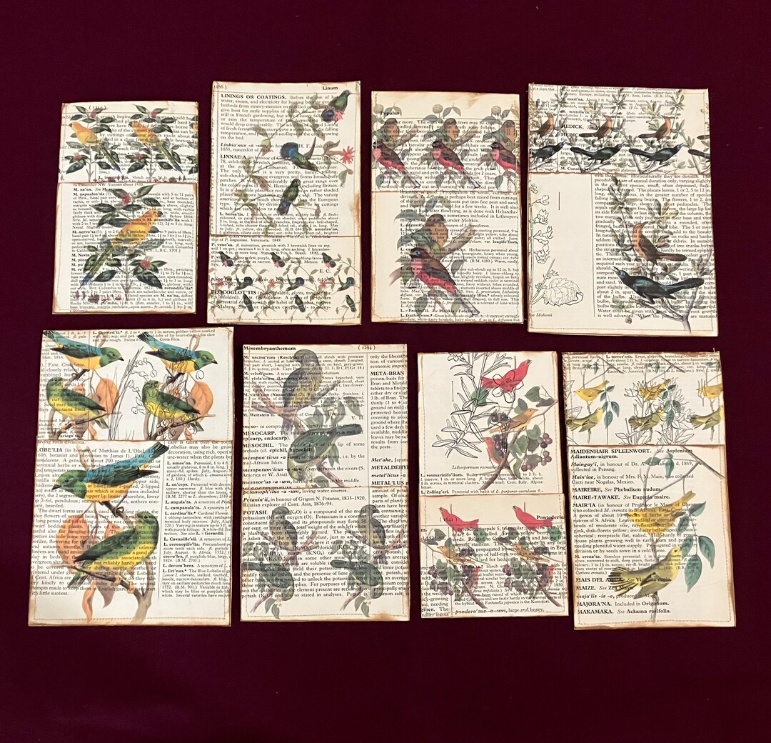8 Book Page Pockets With Printed Bird Images - Neutral Thread Stitched ...