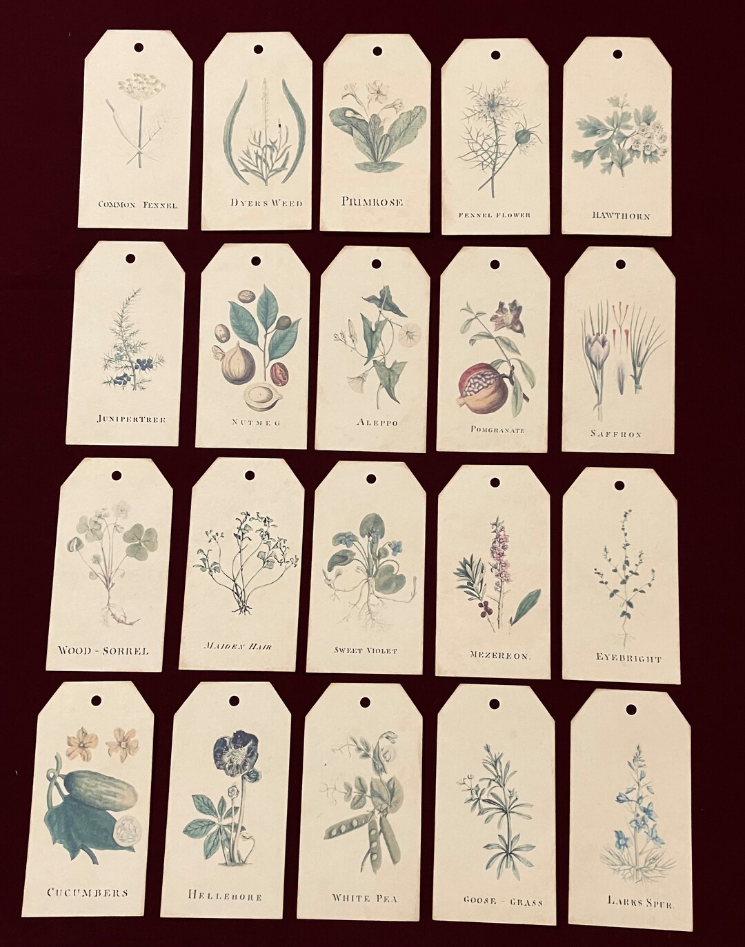 Botanical Journal Tags - A Botanist’s Dream. Gift Tags. - Etsy