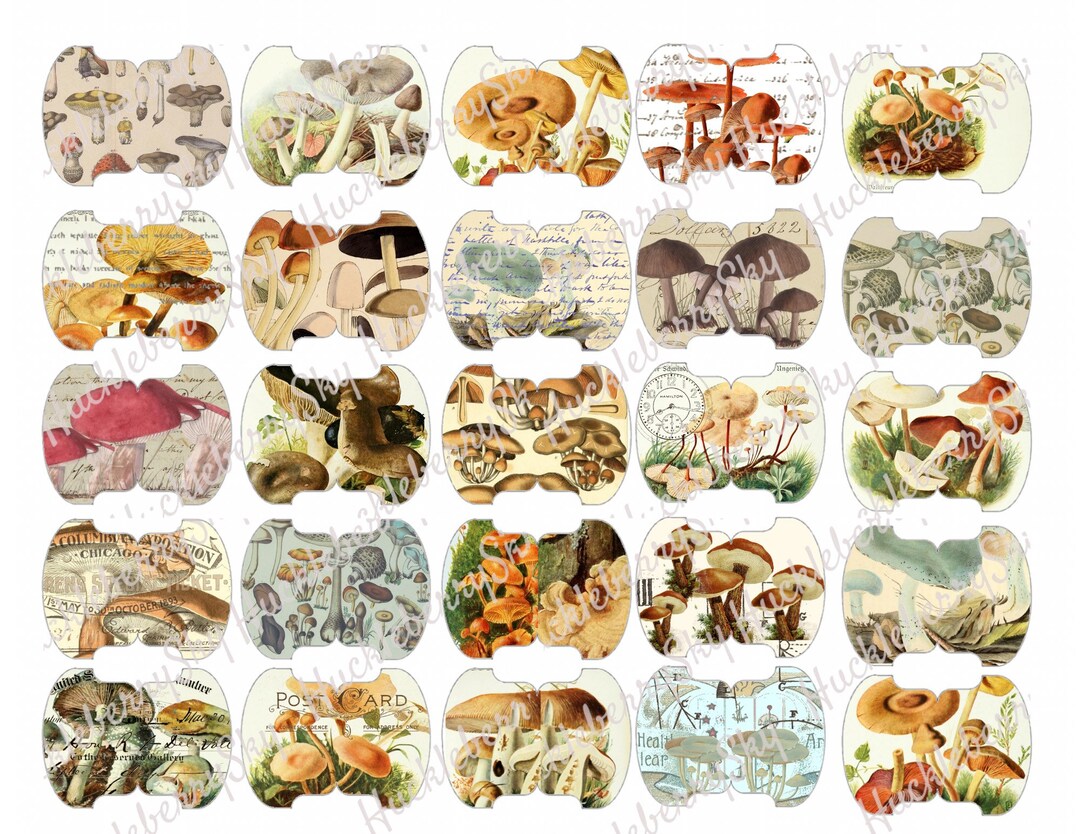 25 Vintage Mushroom Image Round Tab, Whale Tail Tabs - Etsy