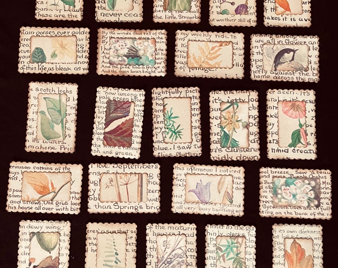 Edith Holden Stamp Size Ephemera - Etsy