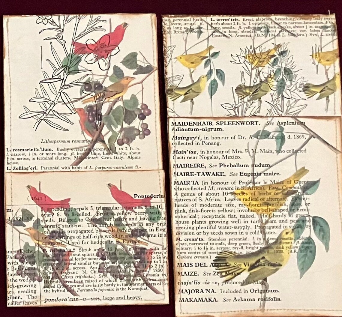 8 Book Page Pockets With Printed Bird Images - Neutral Thread Stitched ...
