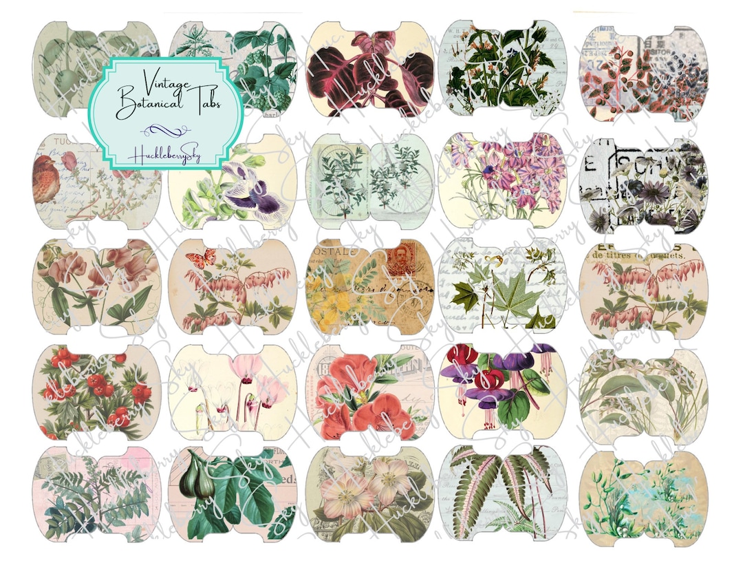 Vintage Botanical Round Tabs - 25 Tabs - Whale Tail Punch Style - Etsy