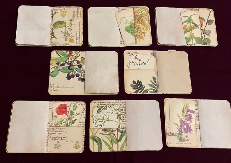 Edith Holden Mini Journal, Vintage Country Diary Mini Notebook, Mini ...