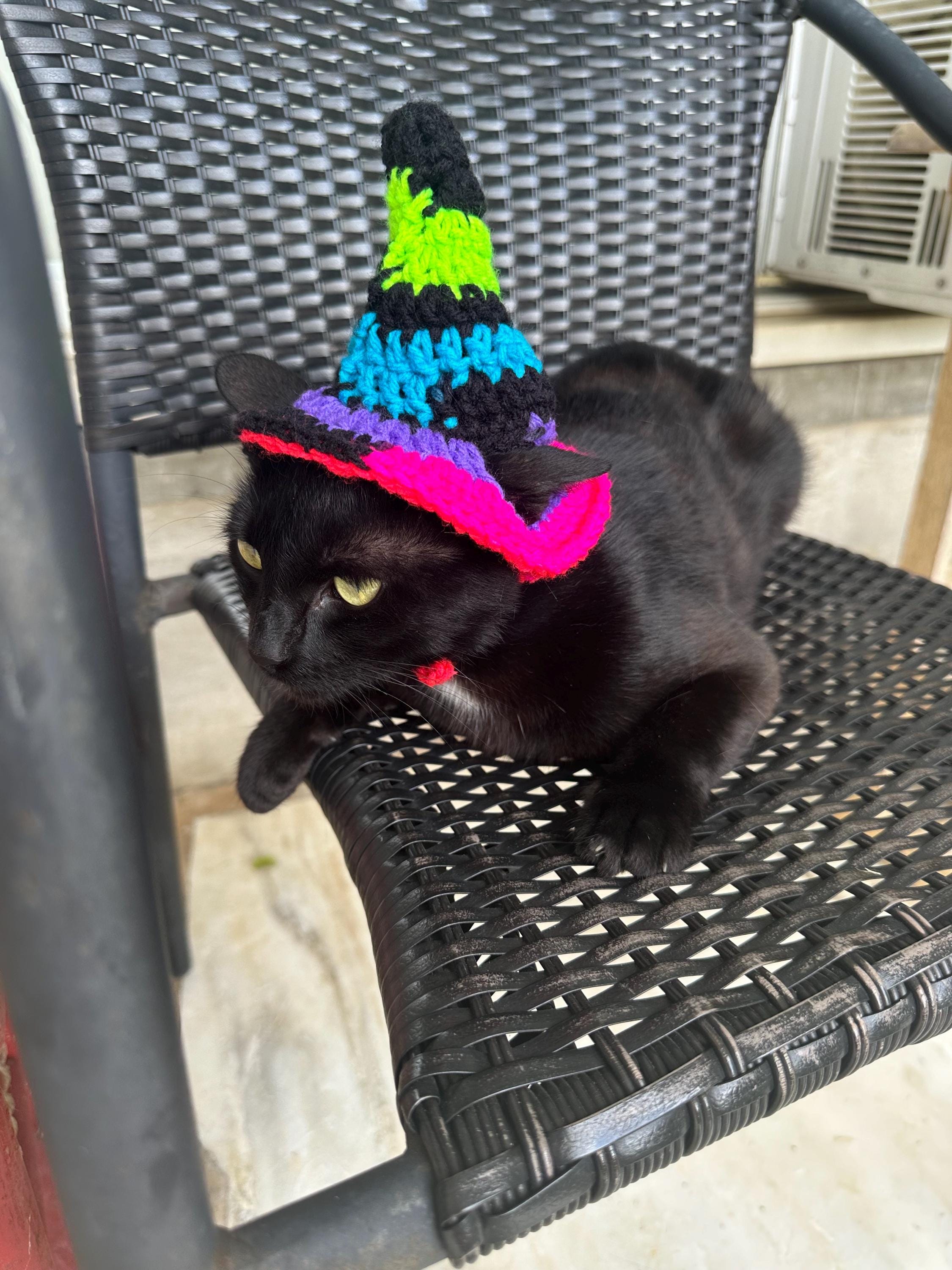 Cat Witch Hat - Etsy