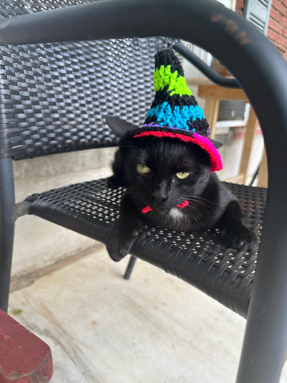 Cat Witch Hat - Etsy