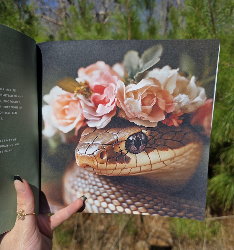 Little Snake | Wildlife in Bloom Series Picture Book Children Magical ...