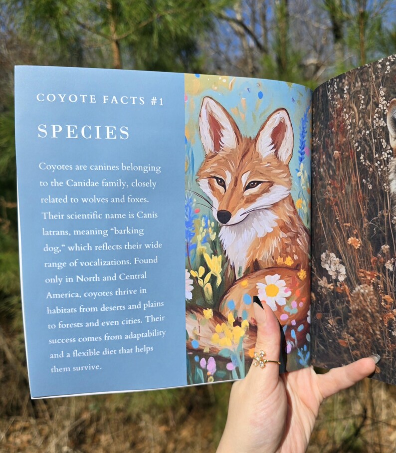 Little Coyote | Wildlife in Bloom Series Picture Book Children Magical ...