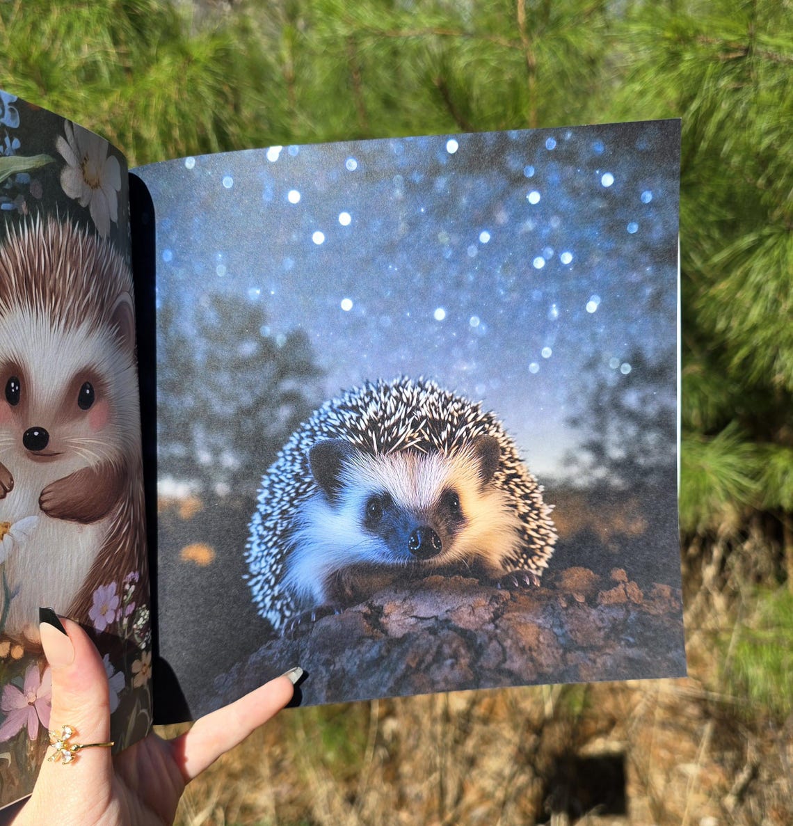 Little Hedgehog | Wildlife in Bloom Series Picture Book Children ...