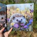 Little Hedgehog | Wildlife in Bloom Series Picture Book Children ...