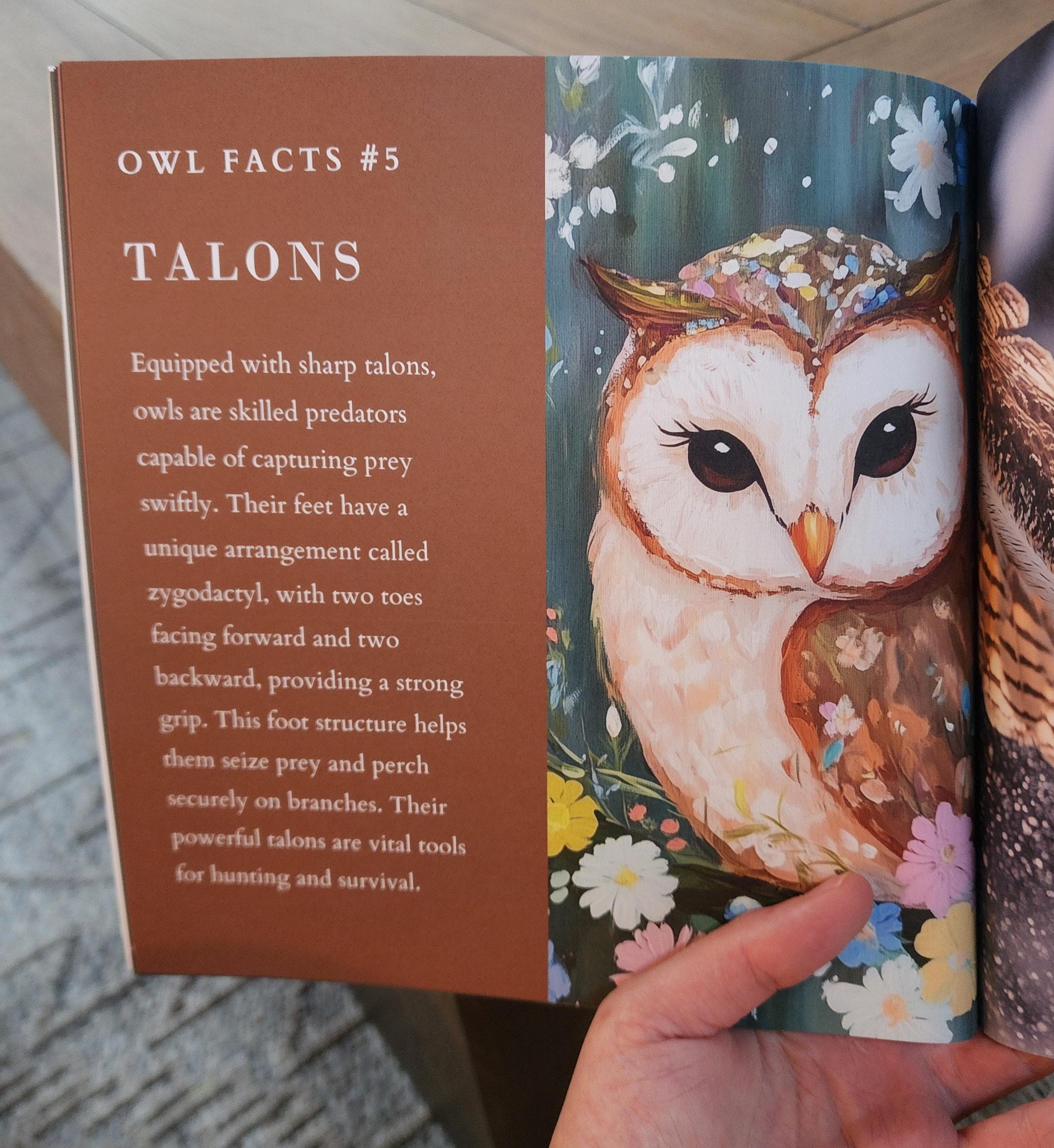 Little Owl | Wildlife in Bloom Series Picture Book Children Magical ...