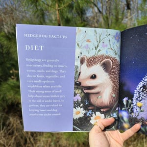 Little Hedgehog | Wildlife in Bloom Series Picture Book Children ...