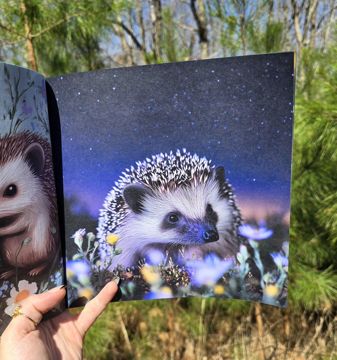 Little Hedgehog | Wildlife in Bloom Series Picture Book Children ...